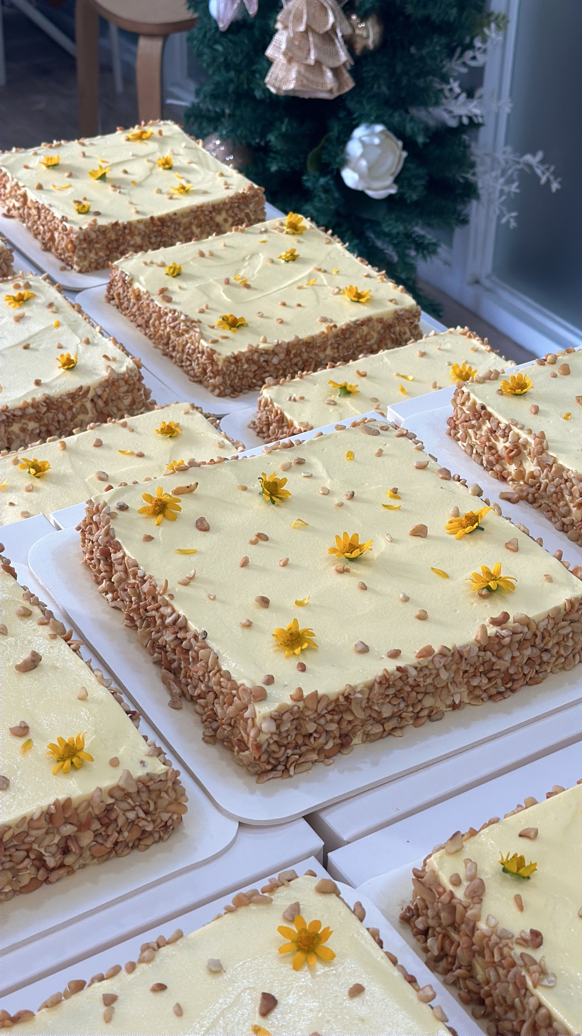 Audrey's | Daily Bakes - Order Cakes & Pastries Online